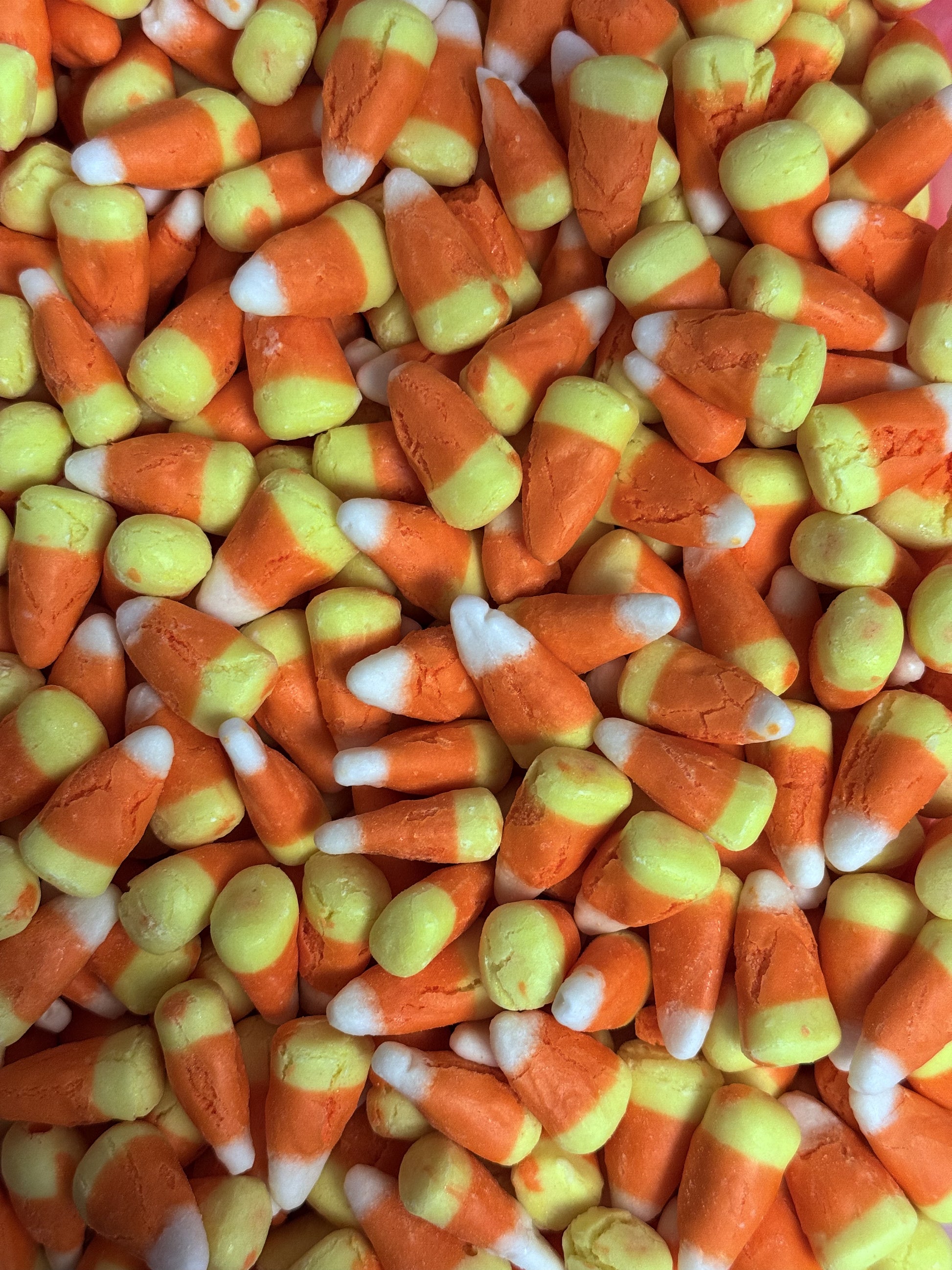 Freeze Dried Space Corn (Limited Time) – Galaxy Crunch